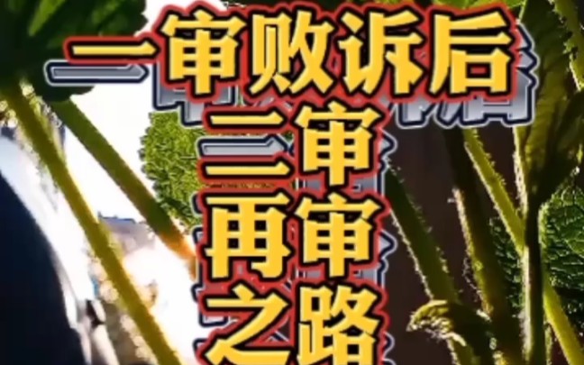 一审败诉失利后,二审、再审之路如何走?
