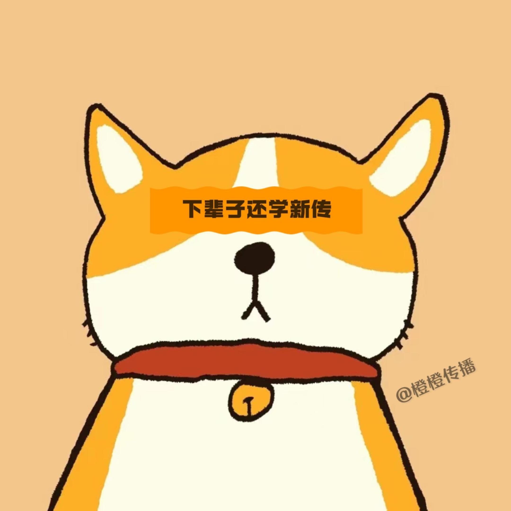 橙橙传播 