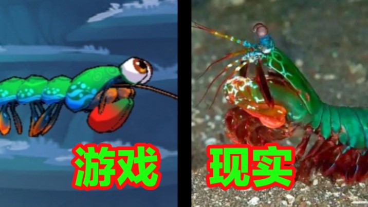 《鱼吃鱼珊瑚海生物设计点评》这些生物的设计到底合理吗?