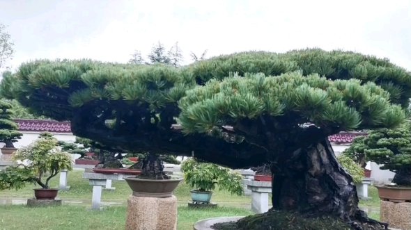 ...陕西韩城隧道渗漏防水维修施工,陕西儒亿建筑安装装饰工程有限公司