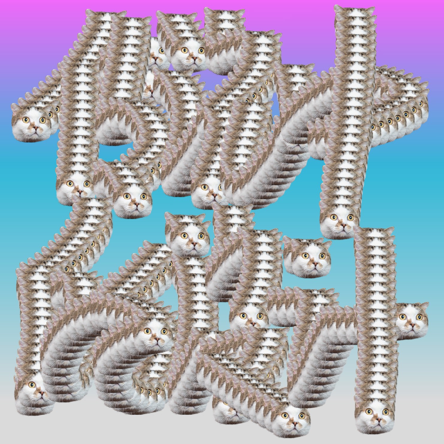 传说中的设计师 