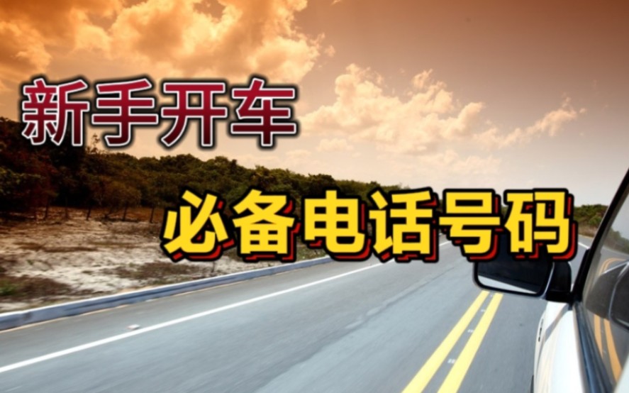新手开车上路必备4个电话号码,避免发生意外后不知所措,干货!