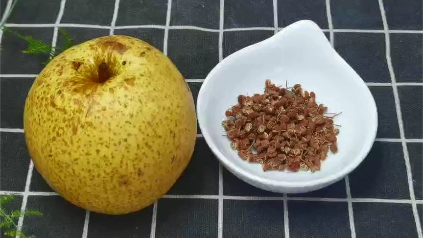 梨子和花椒放一起炖一炖,没想到作用这么厉害,真是民间有高手