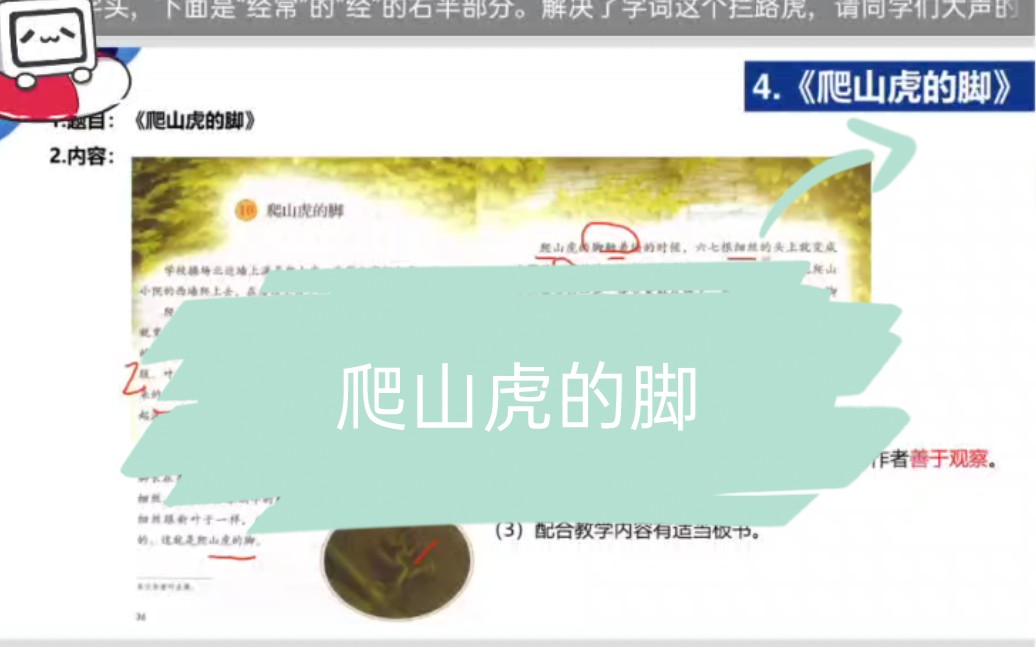 小学语文-《爬山虎的脚》试讲