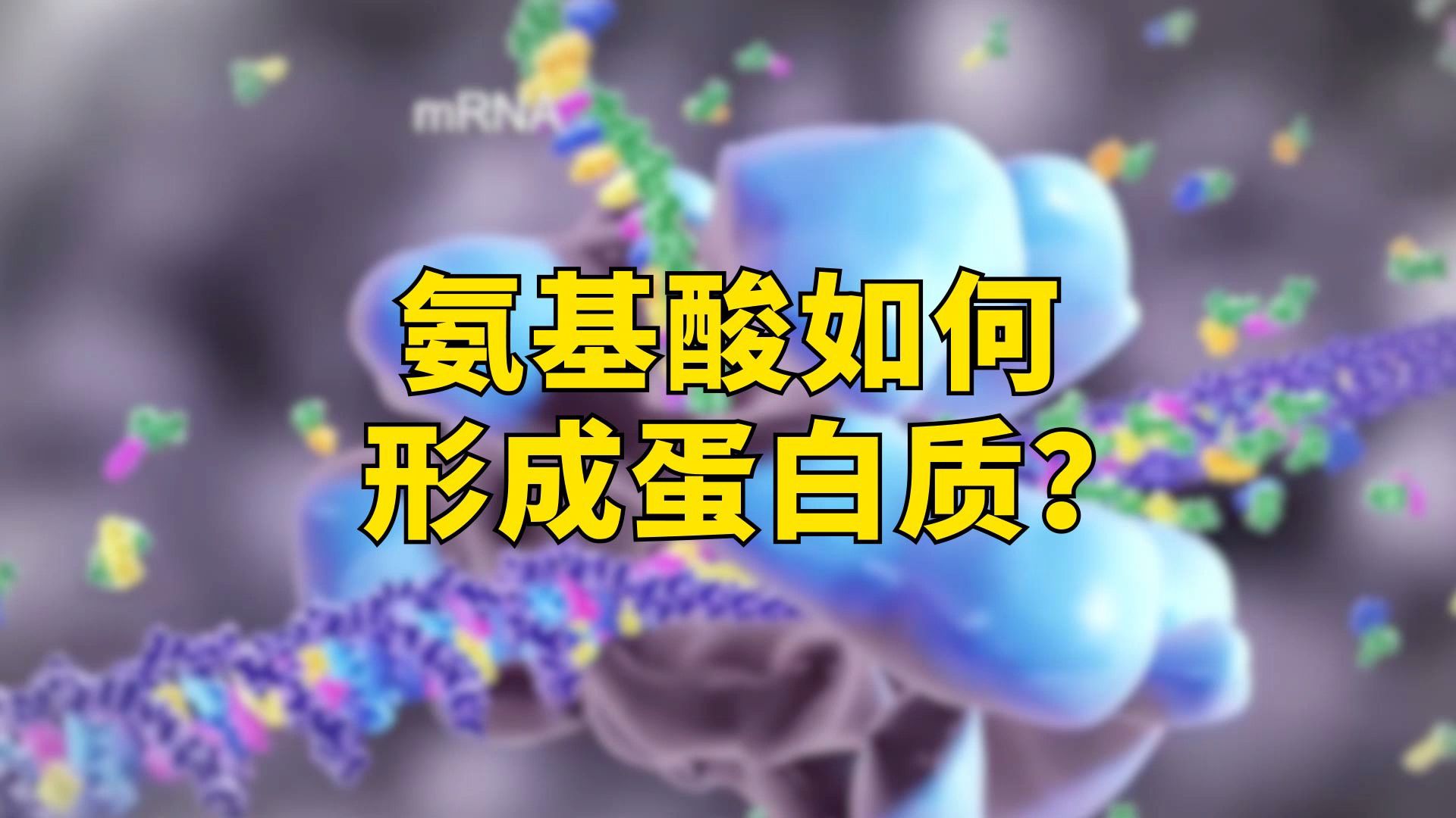 【小知识】氨基酸如何形成蛋白质?
