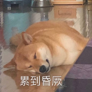 夏屿-- 