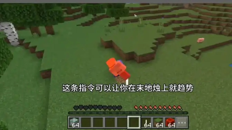 我的世界那些服务器必备的有趣指令,有指令楼!