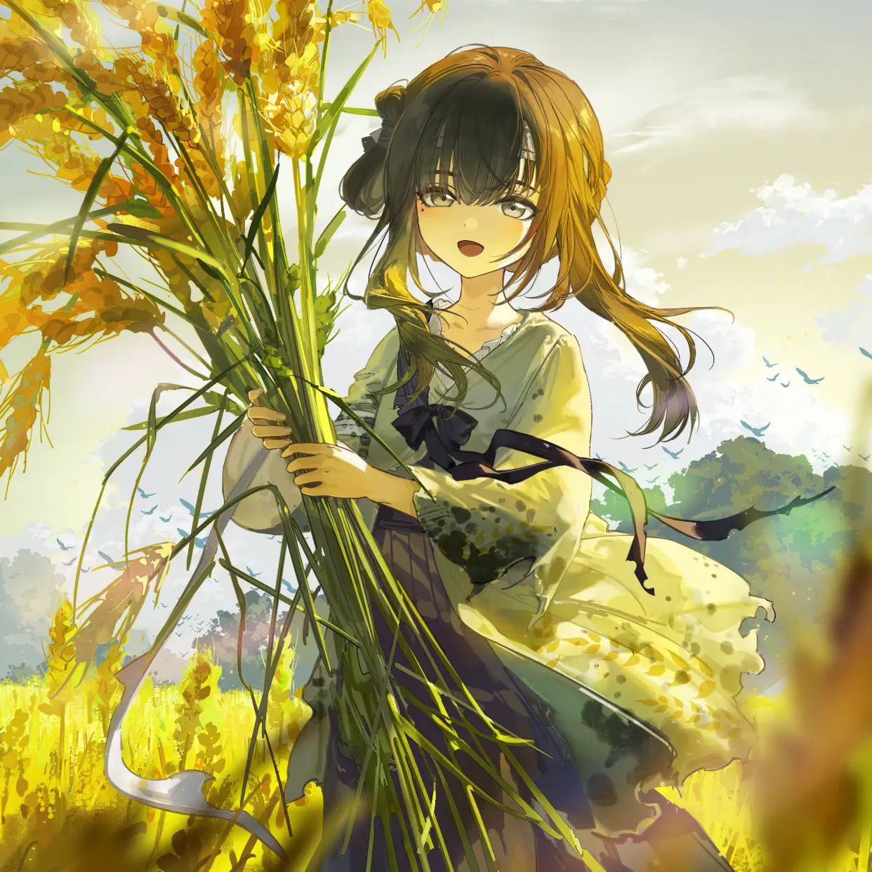 星芒XM丶 