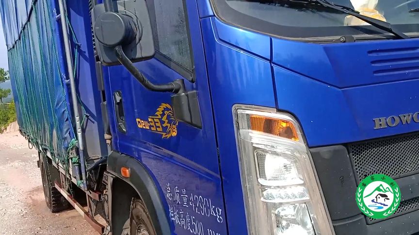 外来车辆进猪场,都要消毒,小刘带你看看怎么给车消毒的