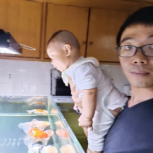 难受金鱼叶师傅 