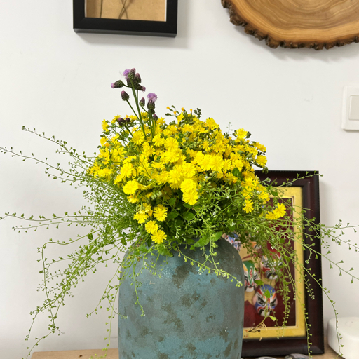 汤圆的咖啡世界 