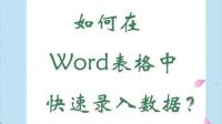 如何在Word表格中快速录入数据?