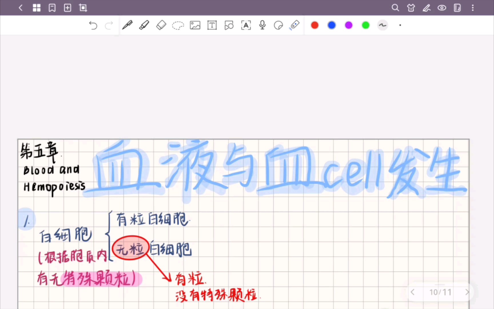 组织学与胚胎学【第五章 血液与血细胞发生】组胚重点知识复习/网织...