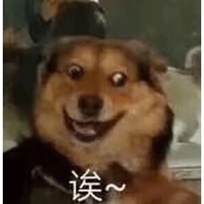 宇宙尽头的tardis 