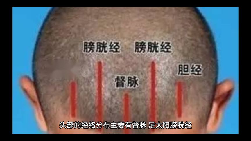 头部的重要经络按摩可以让你更健康