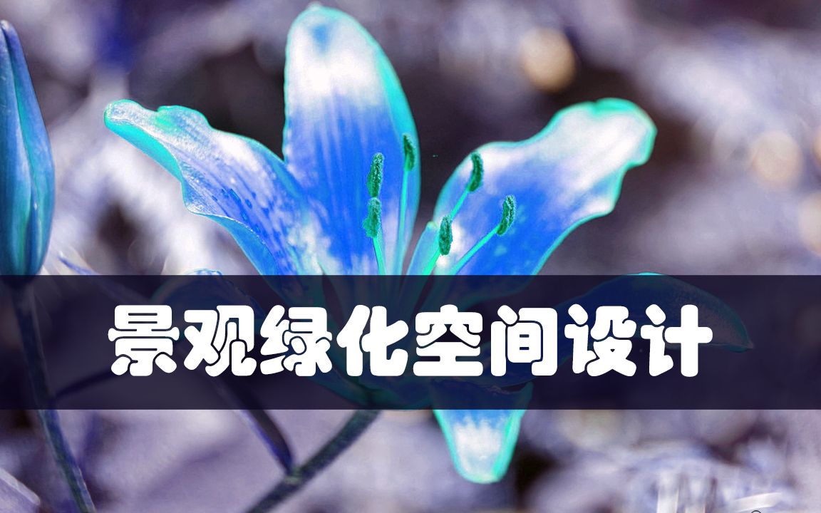 景观绿化空间设计