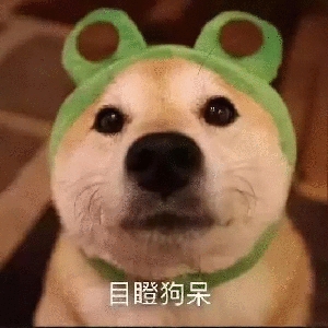 青果果果果果果果果 