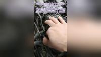 进气压力传感器原理测量方法锤子汽修培训学院