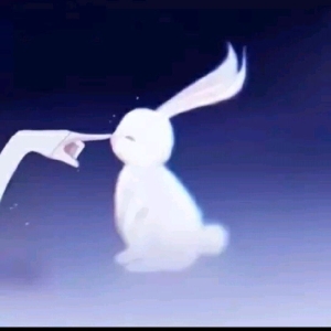 正在努力的兔某人