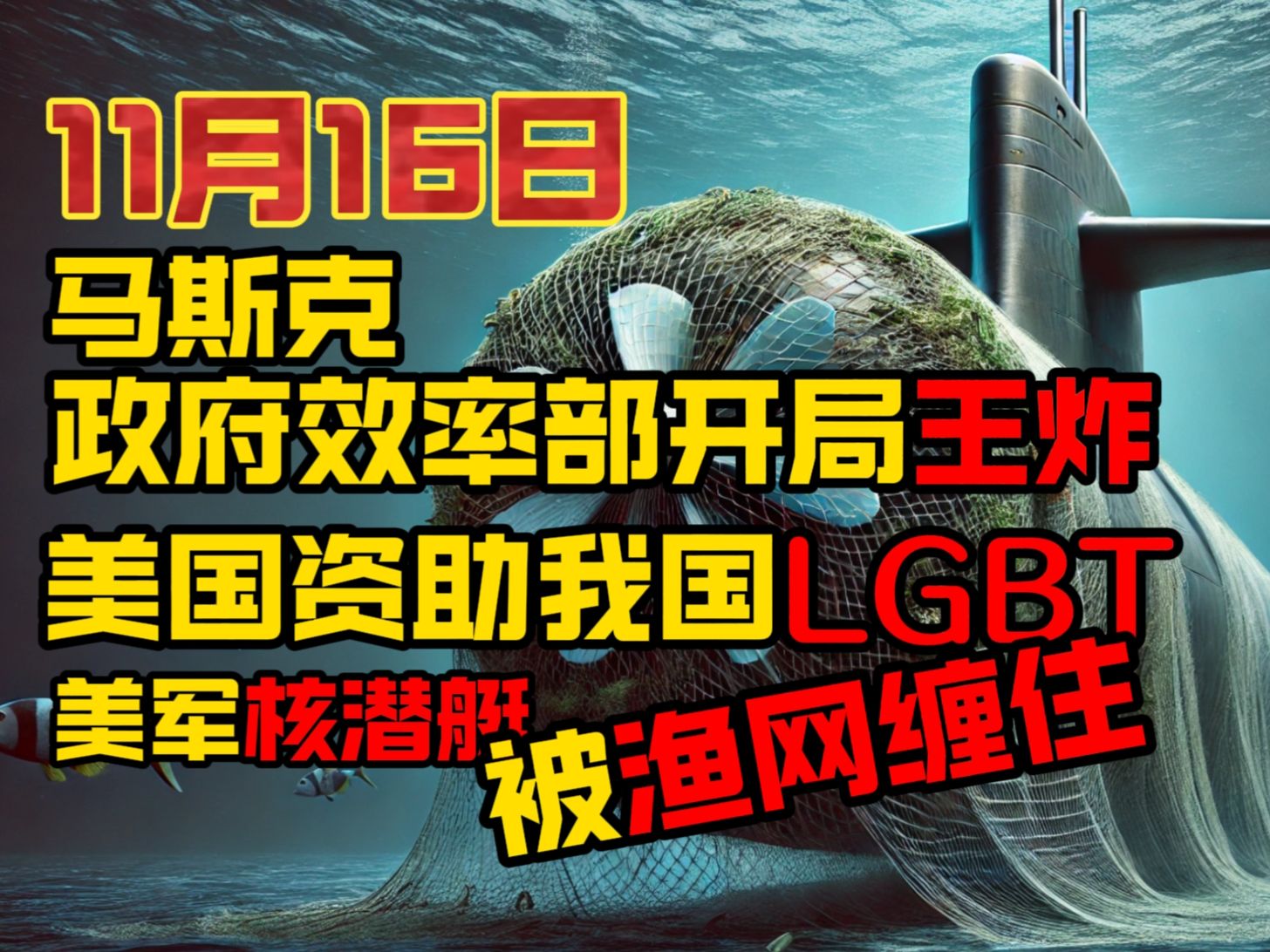 11月16日 政府效率部开局王炸/美国资助我国LGBT/美军潜艇被渔网缠住