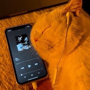 xxxNeedFor虚空藏xxx 