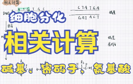 细胞分化--转录翻译相关计算