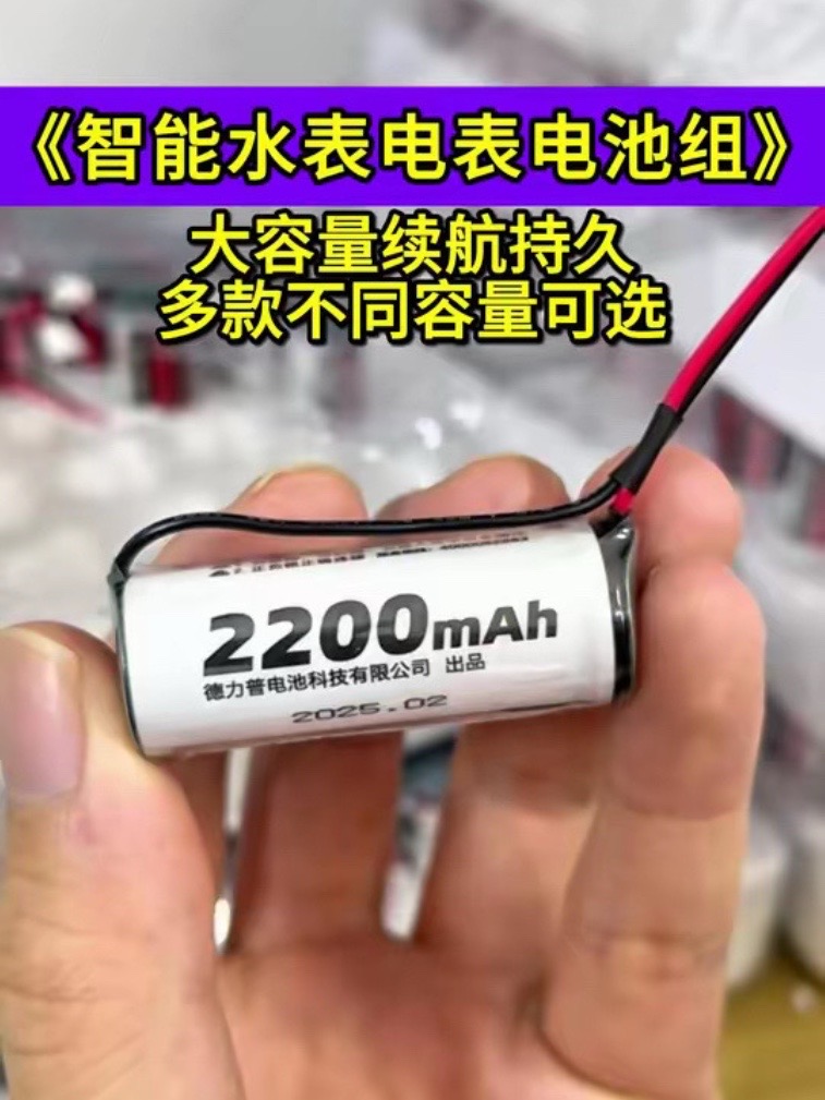 智能水表电表电池组 适用广泛,多达十几款插头,能满足不同型号!