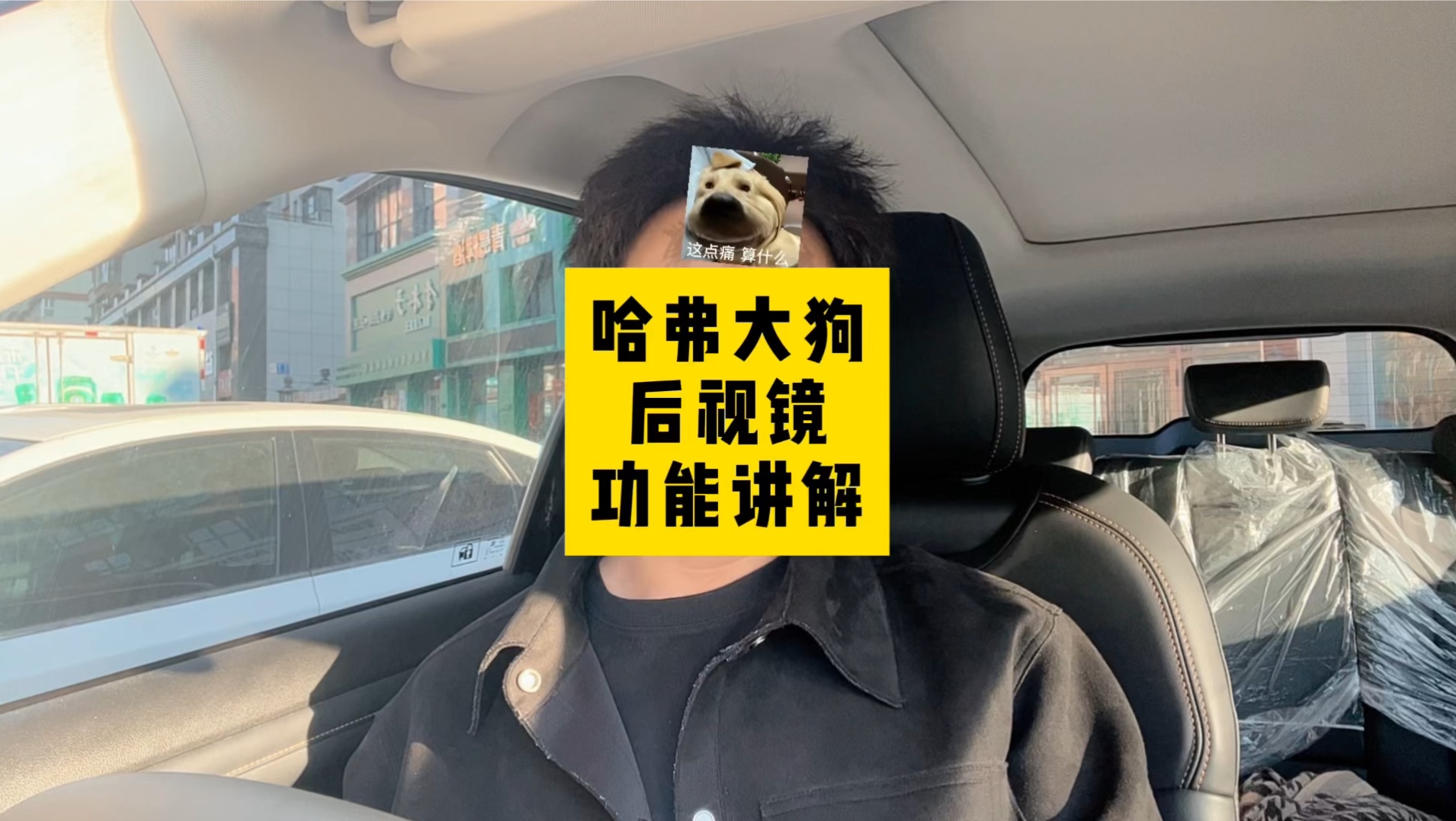 哈弗大狗,后视镜功能讲解,你的狗子耳朵会折叠嘛!