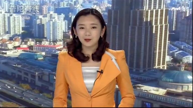 真如镇街道开展居民安全感满意度测评工作集中宣传