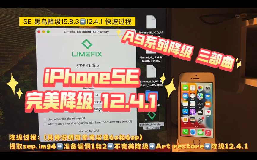 『A9』黑鸟漏洞降级-iPhoneSE篇(感谢粉丝提供机器),漏洞调用失败N...