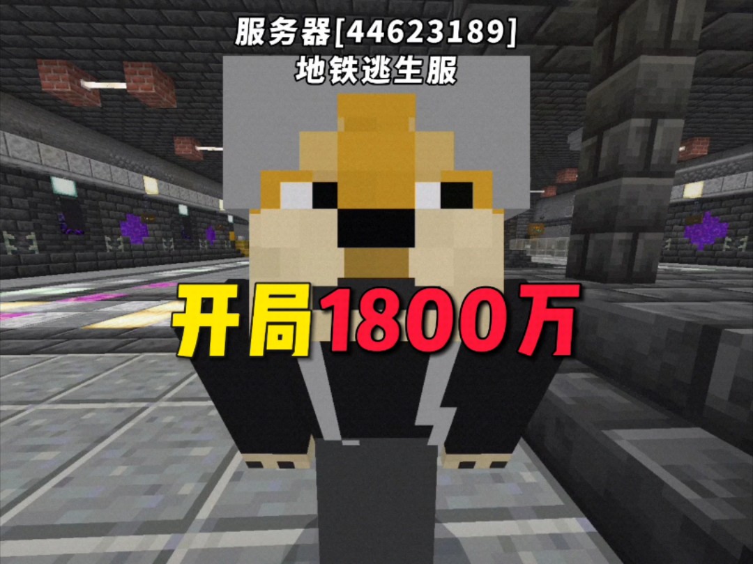 我的世界:地铁逃生服务器_我的世界