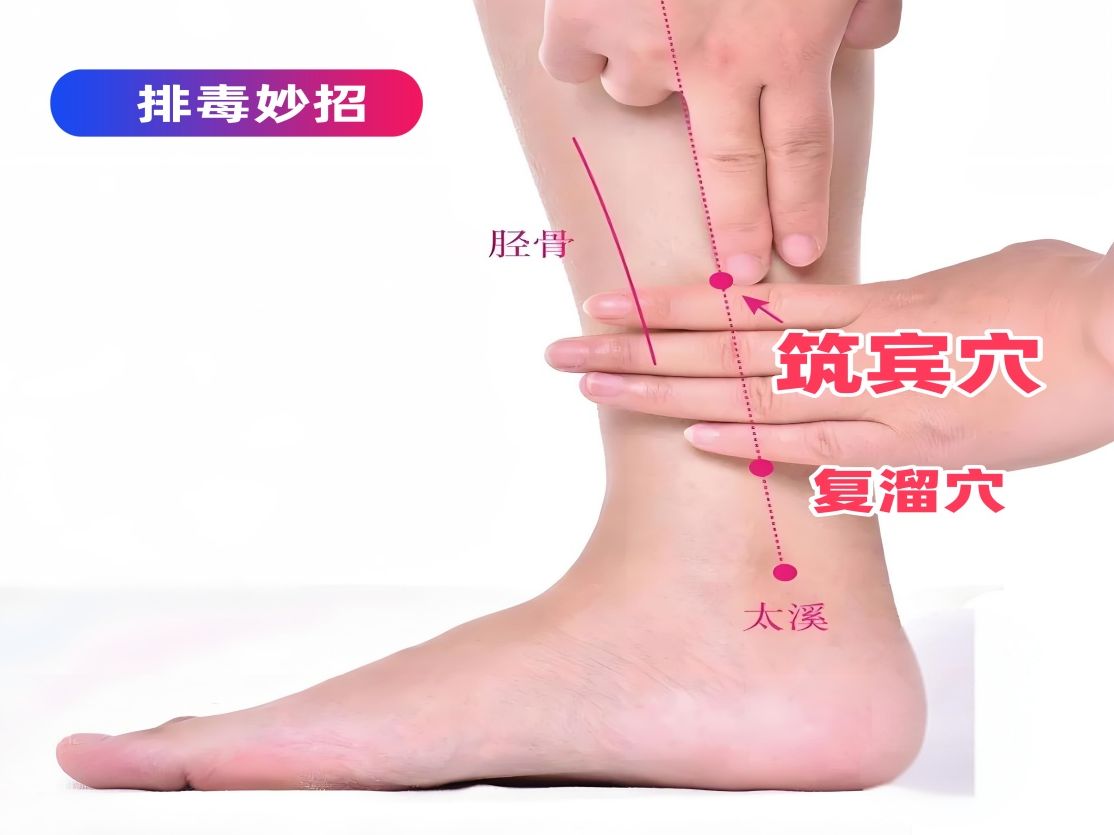 136、足少阴肾经 — 筑宾穴 — 排毒妙招