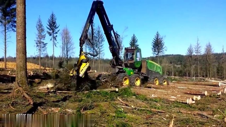 禁止乱砍乱伐,请保护我们的地球,我们的森林!谴责他!