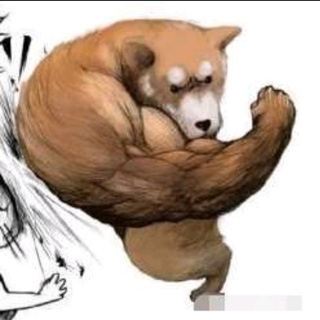 影流之主shadow