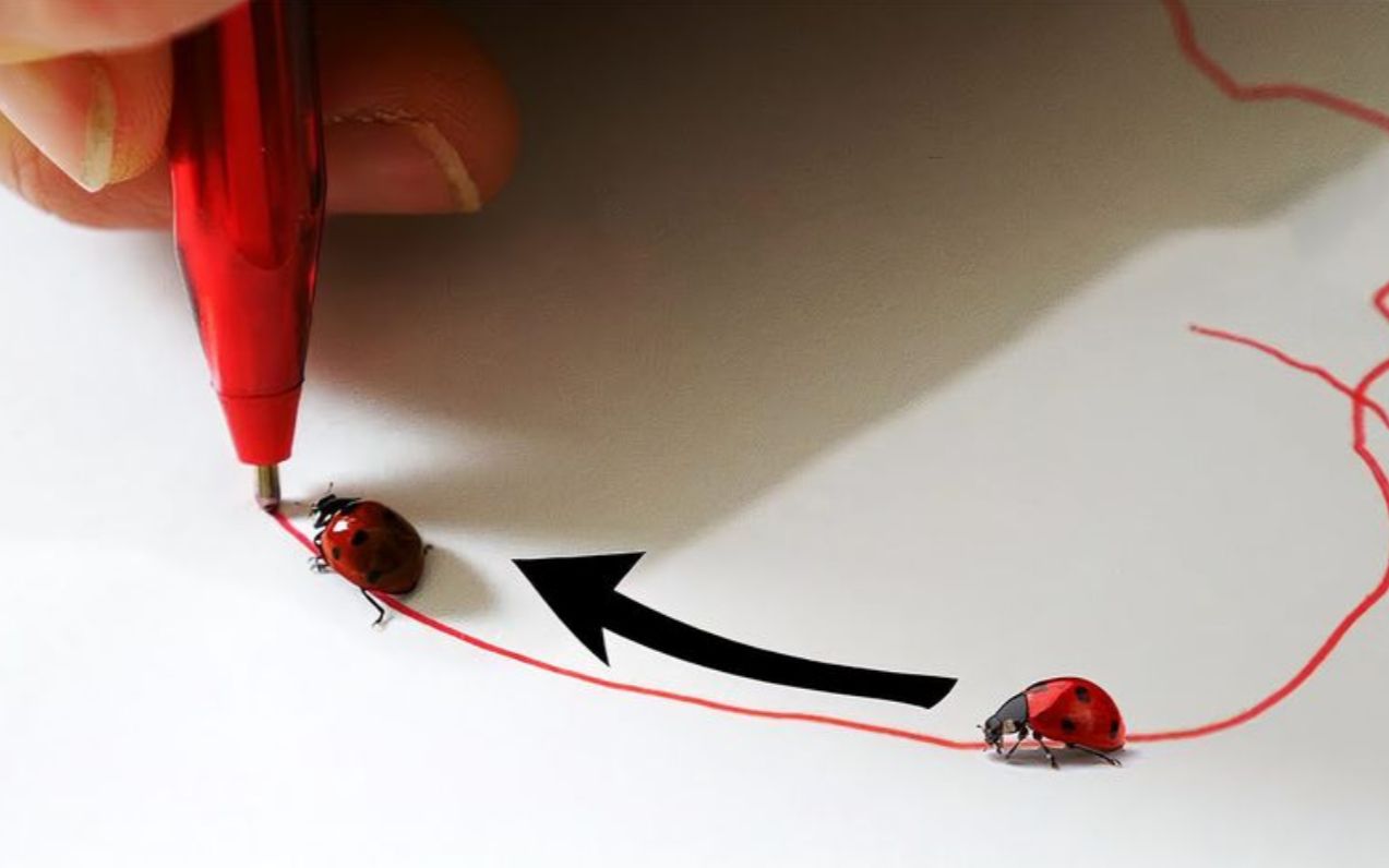 神奇的科学现象,瓢虫为什么跟着圆珠笔画的线走?你知道原理吗