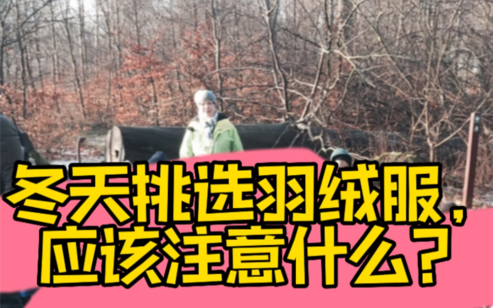 ...”丹麦的冬天漫长而寒冷,夏天也经常刮风下雨,羽绒服太重要了。