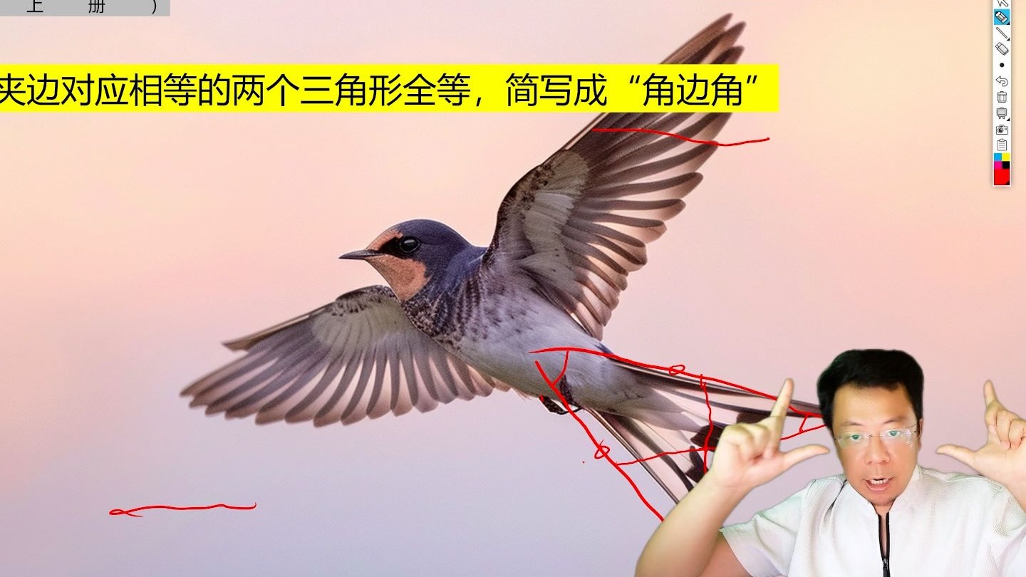 用“燕子”讲《三角形全等判定ASA》2-7(初中数学·预习课)