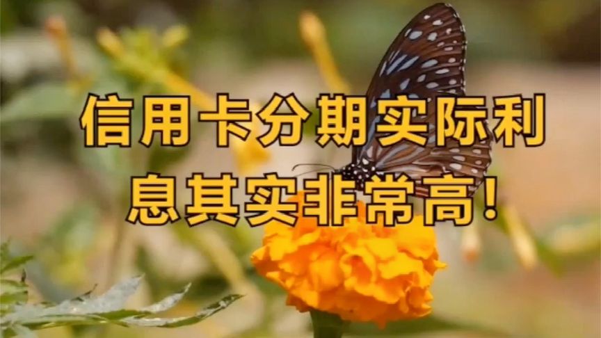 信用卡分期实际利息其实非常高!