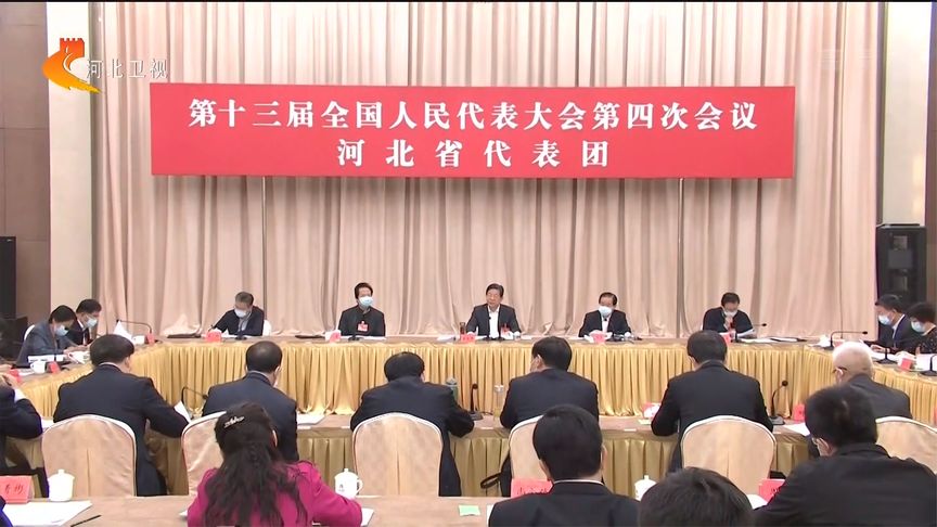 河北省代表团审议全国人大组织法和全国人大议事规则修正草案