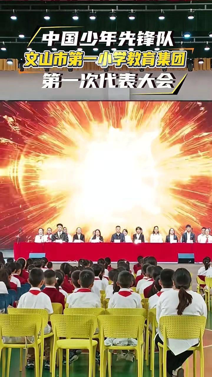 ...审议通过✅#中国少年先锋队文山市第一小学教育集团第一次代表大会