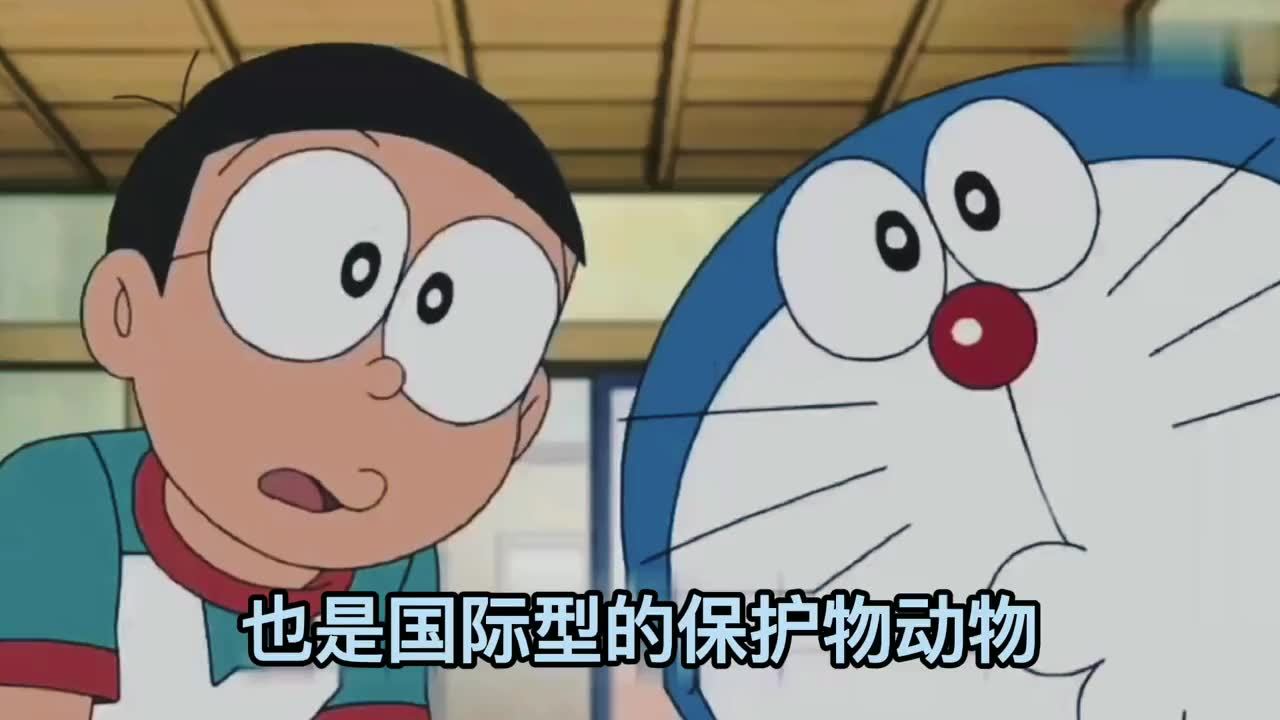 哆啦a梦第一季国语版全集免费:世界.