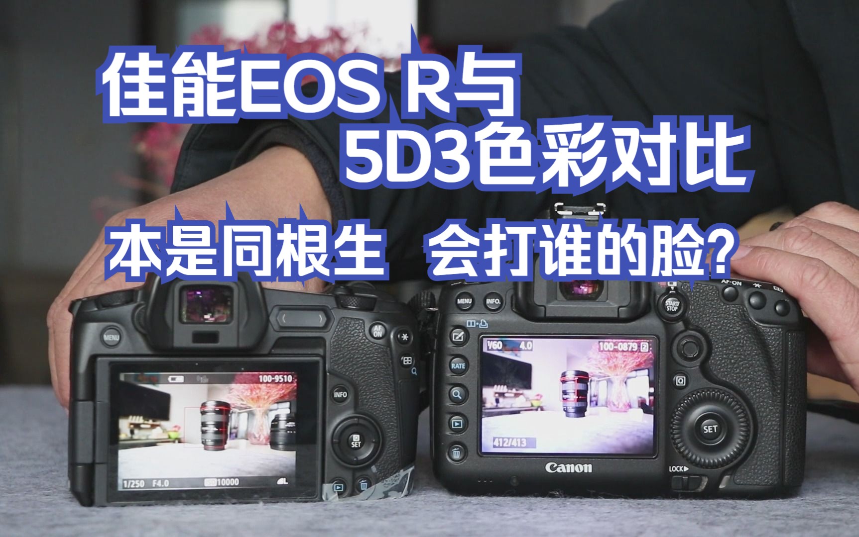佳能微单EOS R与佳能5D3拍摄画面色彩对比 结果会打谁的脸?