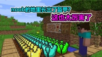 MC我的世界:在菜地里种出钻石盔甲?这也太厉害了吧
