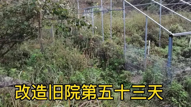 改造旧院第五十三天,修建门卫室