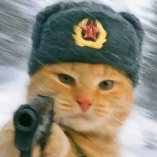 不打草稿的宇豪 