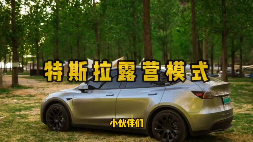 特斯拉露营模式#特斯拉 #抖音汽车 #dou是好车