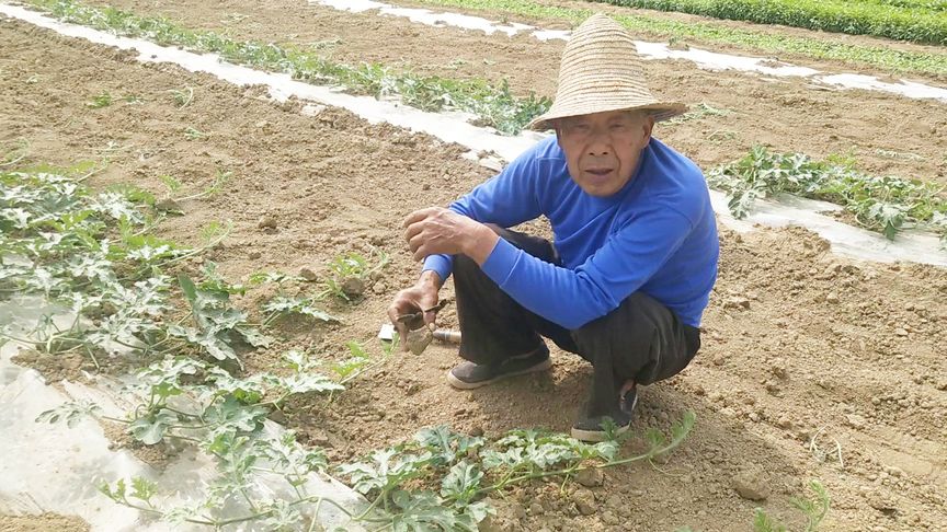 农村大叔教你打井怎么知道地下有水的简单方法,涨知识了