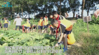 “勤俭节约不浪费 热爱劳动多实践” 雨花区小学这样上开学第一课