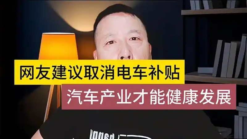 网友建议取消电车补贴,才能让汽车行业健康发展