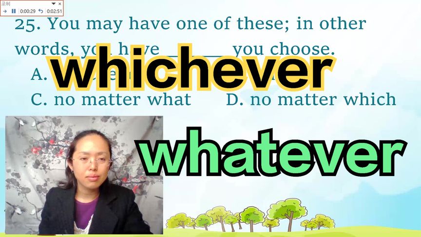 whichever和no matter which都可以替换吗,和whatever的区别